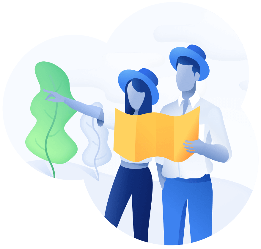 Dolphin IT Solutions